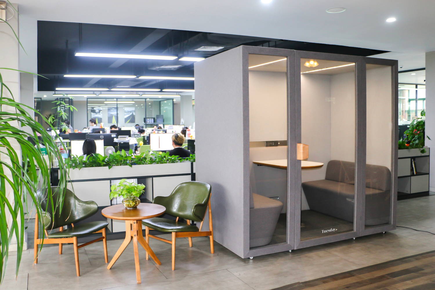 Tuesday + Booth – MSB